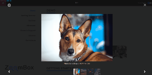 GitHub - ashkr808/zoombox: It is an Interactive JavaScript image viewer with up to 10 ...